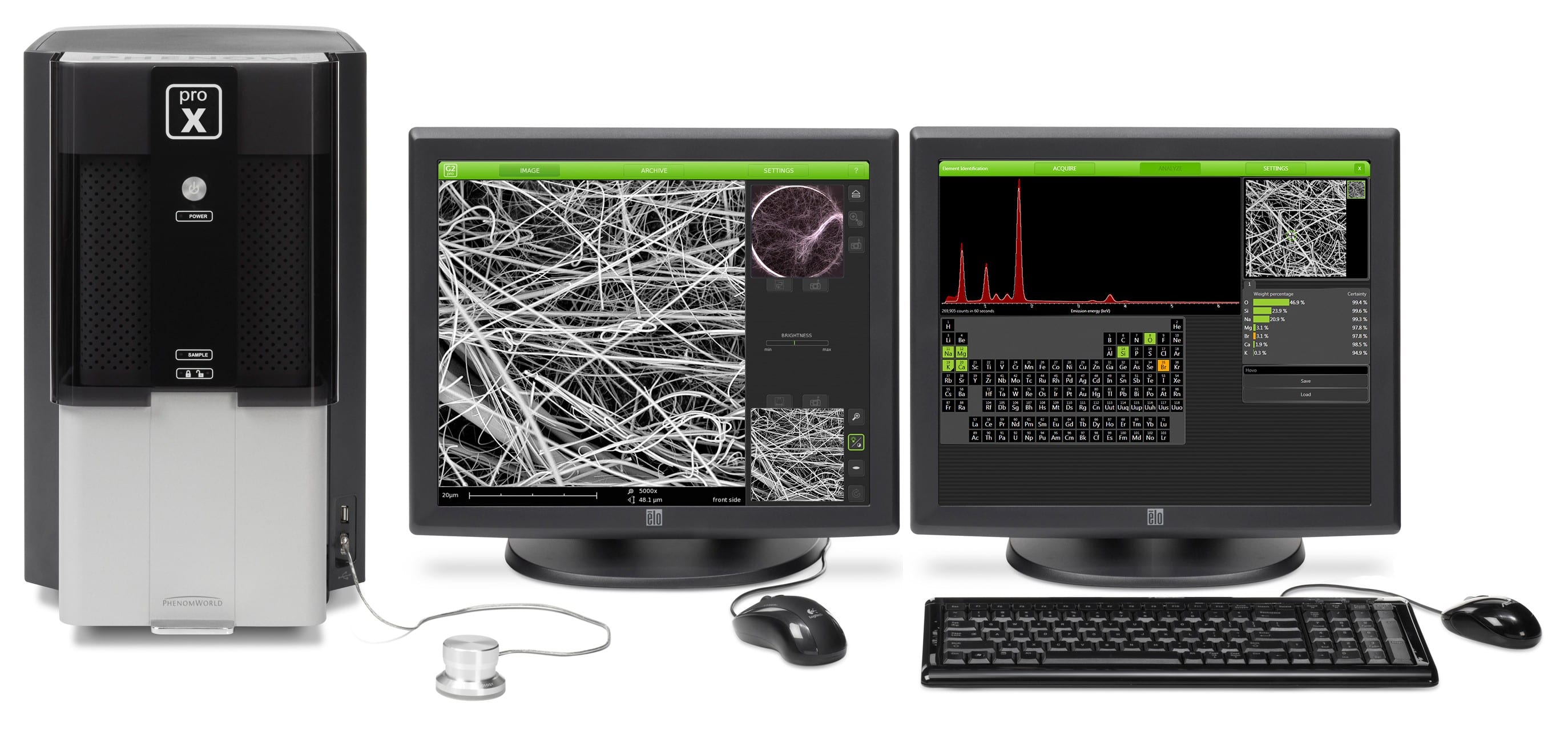 The LotE Lab at UF | Amy Williams